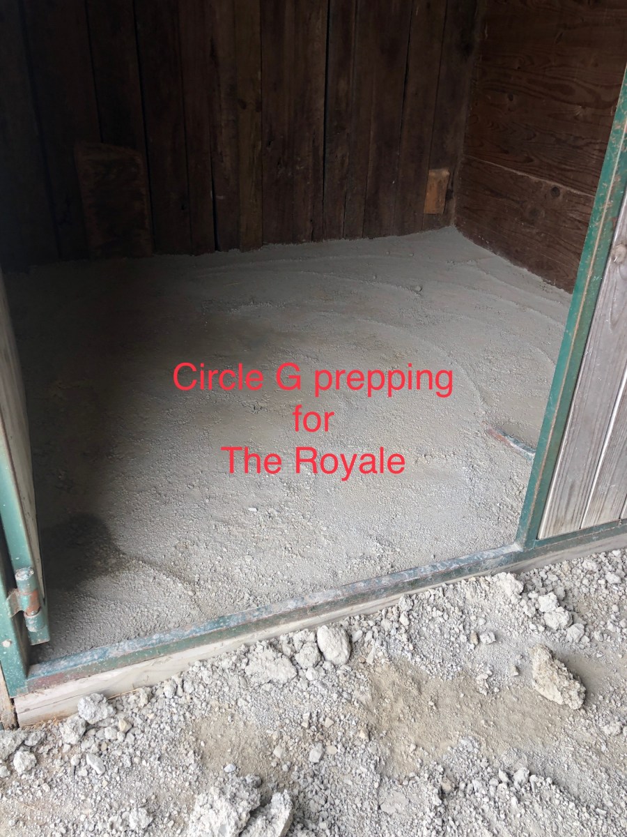 THANK YOU CIRCLE G – On the Road with Dawn and Clea